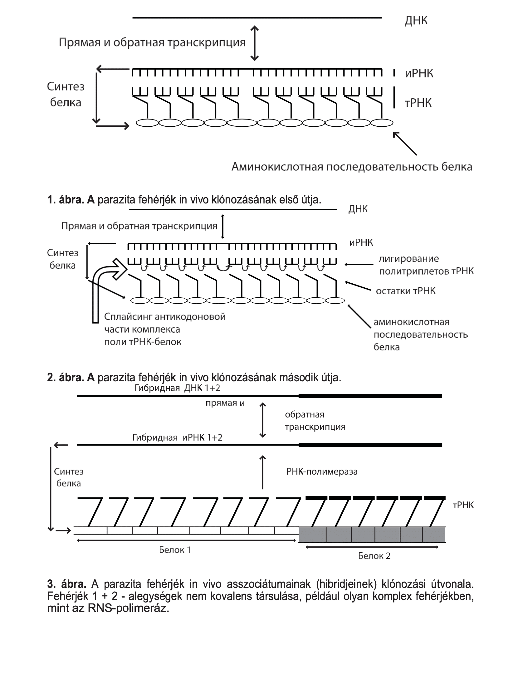 Quantum nonlocality - Ai-Xtech GmbH, time energy, wavegenetics technologies in Viernna ...